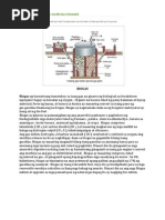Filipino Sci Tech Articles | PDF