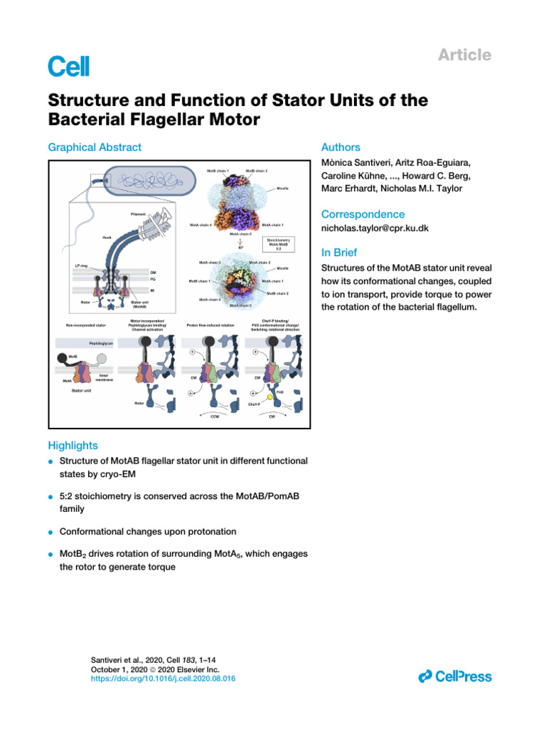 Structure and Function of Stator Units of The Bacterial Flagellar Motor ...