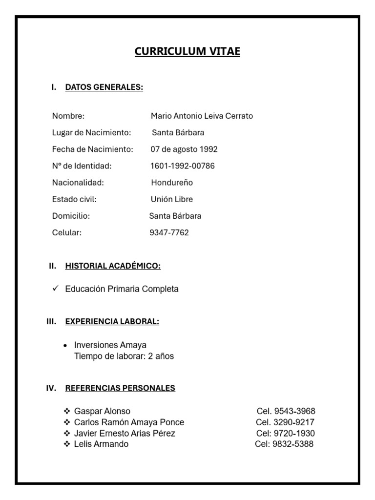 Curriculum Vitae - Copia - Mario | PDF