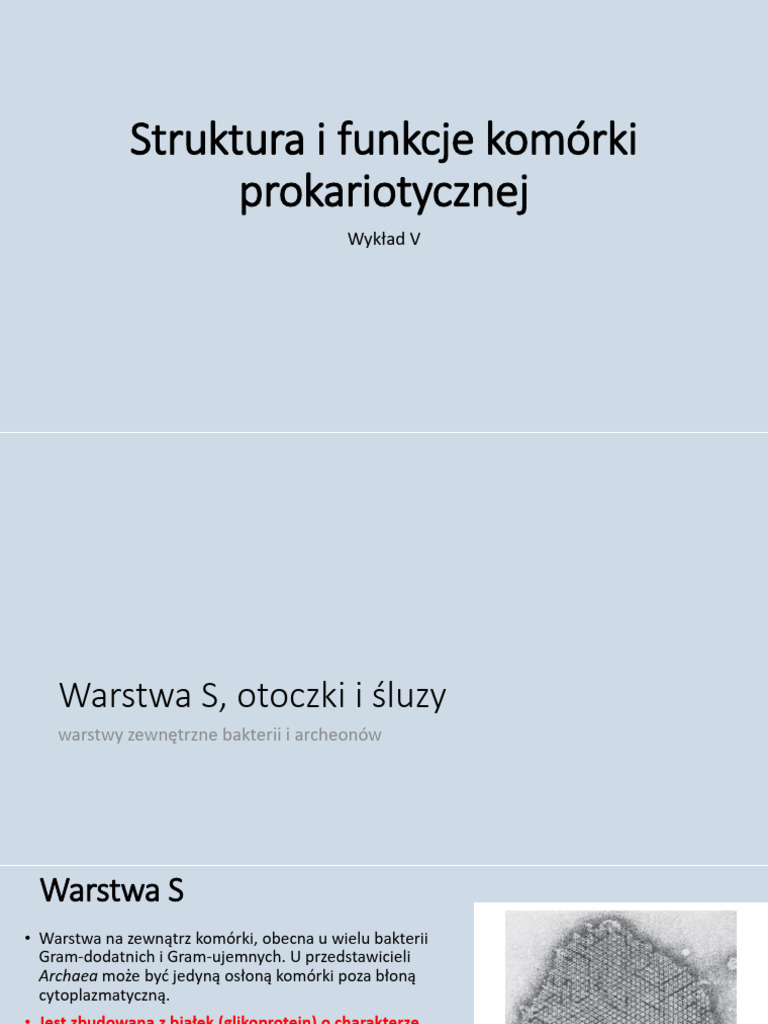 W5.Mikrobiologia Biol Med 2025 | PDF