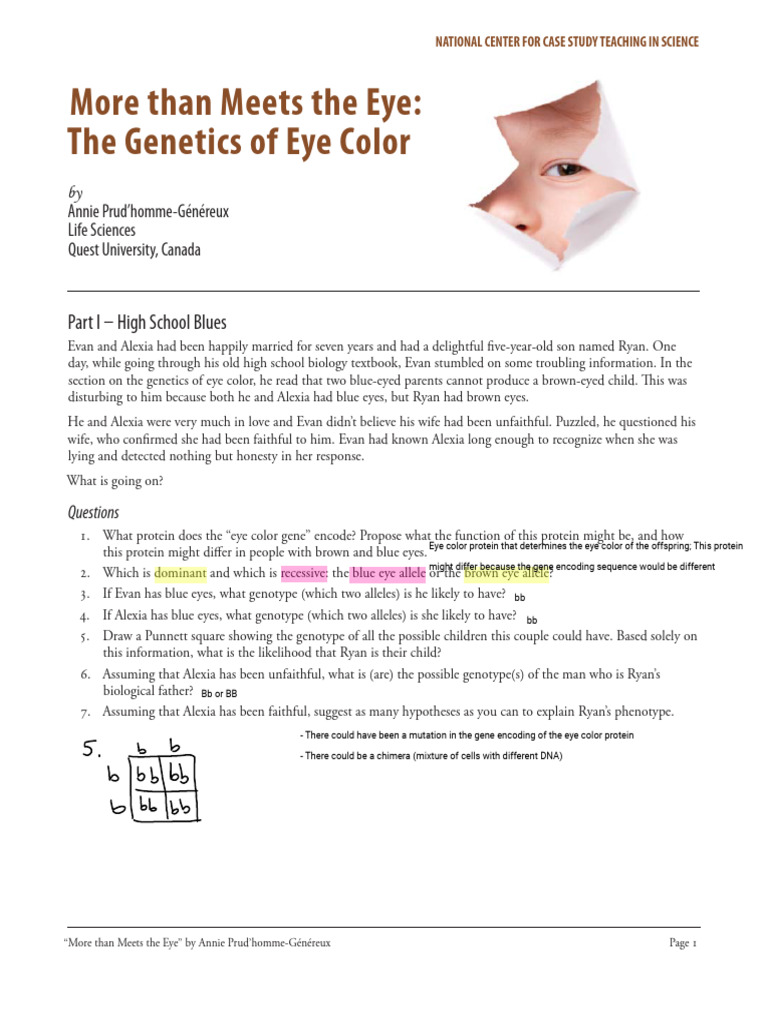 JAANVI PATEL - 5.1 Eye Color Case Study | PDF | Eye Color | Gene