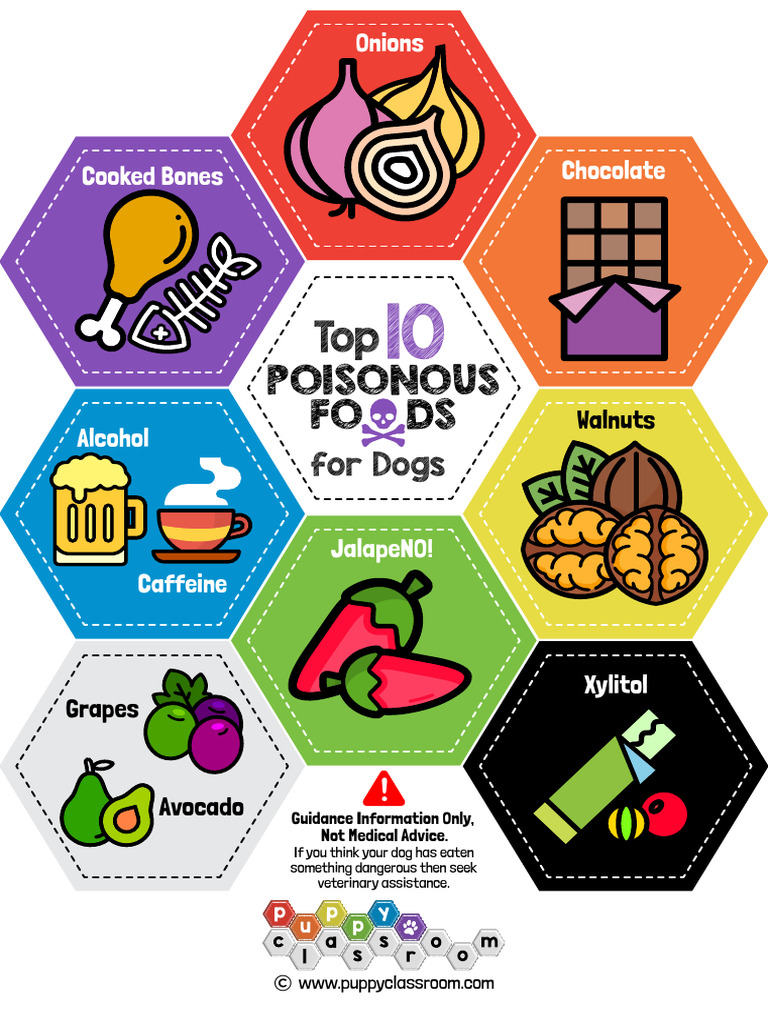 Top 10 Poisonous Foods For Dogs | PDF