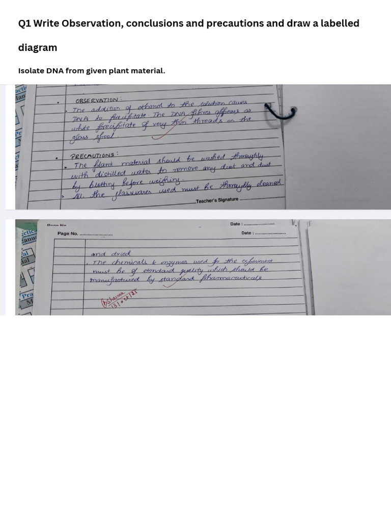 Q1 Write Observation, Conclusions and Precautions and Draw A Labelled ...