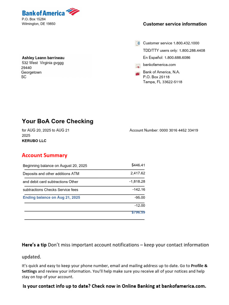 Bank of America Bank Statement 1 PDF | PDF