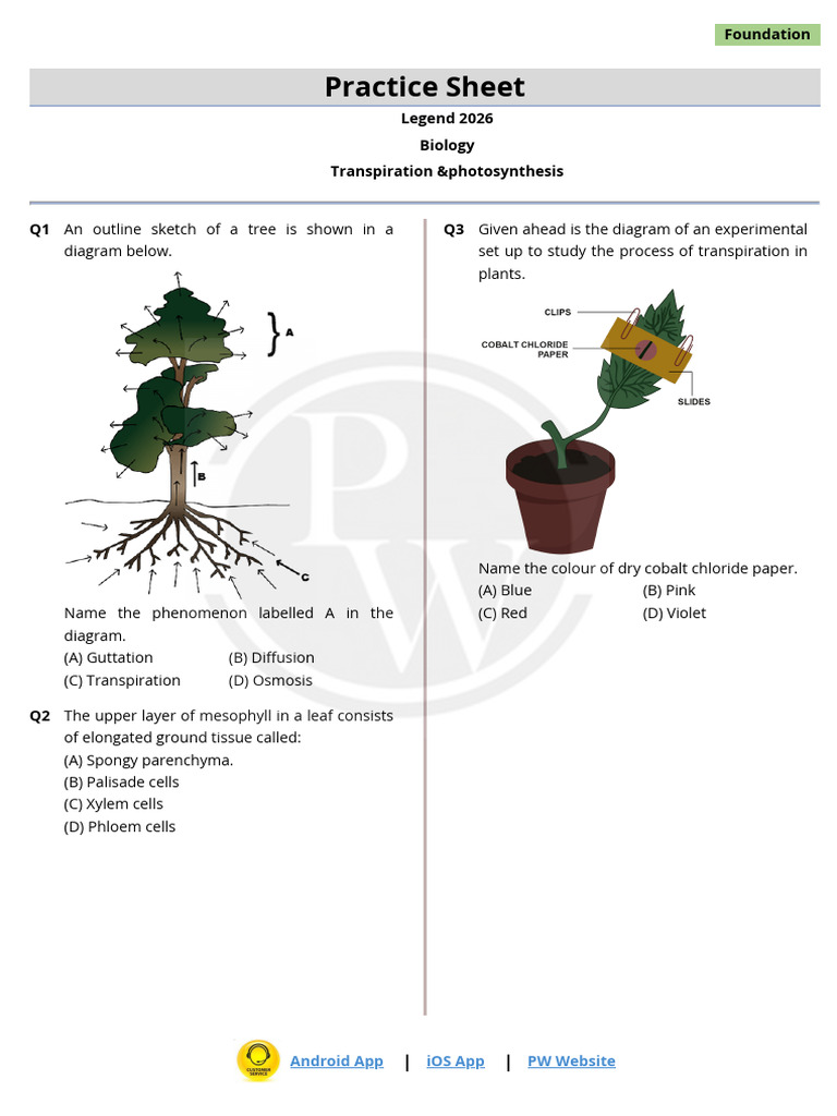 Biology - Transpiration Photosynthesis Practice Sheet | PDF | Leaf ...