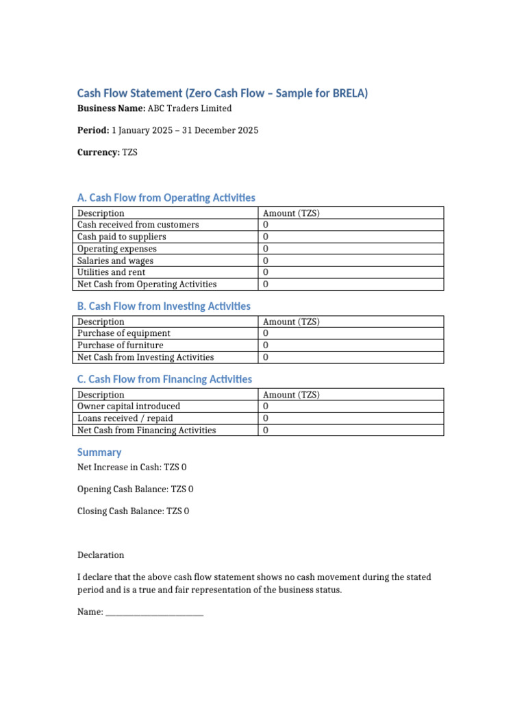BRELA Zero Cash Flow Statement | PDF