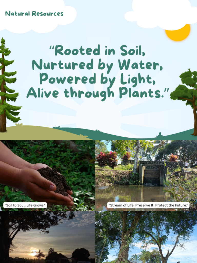 Green and Blue Illustration Earth's Natural Resources Graphic Organizer ...