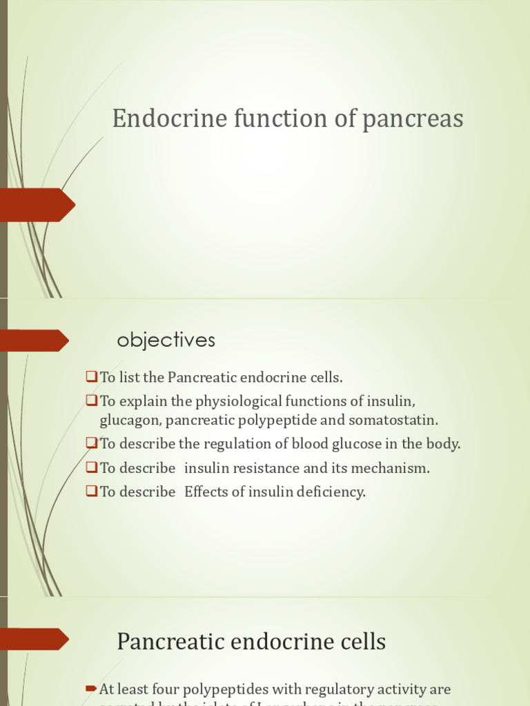 Endocrine Function of Pancreas?? | PDF | Pancreas | Diabetes