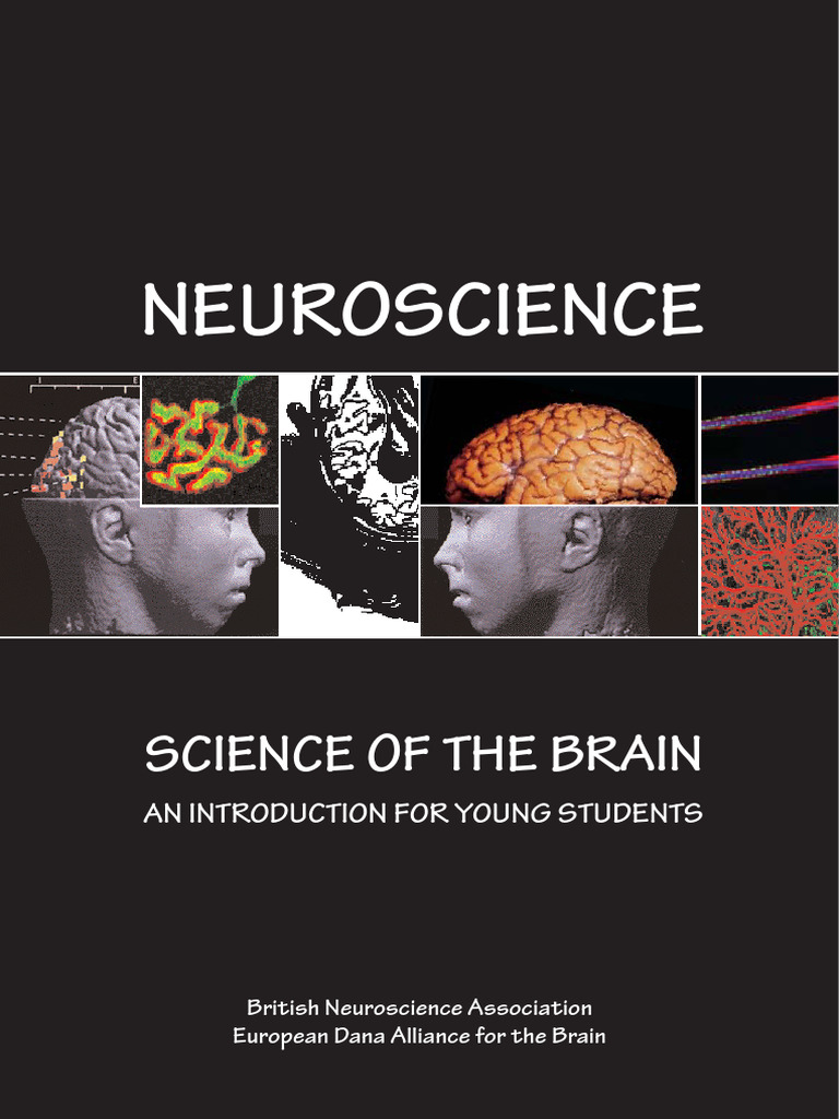 NeuroScience the Science of Brain | PDF | Chemical Synapse | Action ...