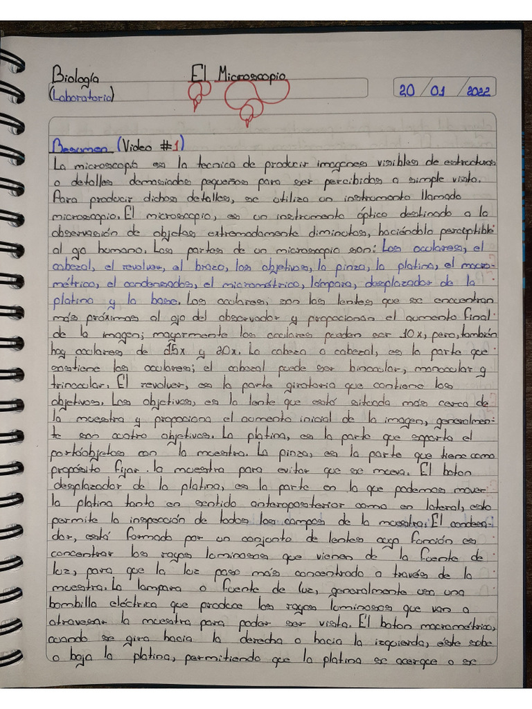 Resumen - El Microscopio (Isaac Reyes) | PDF