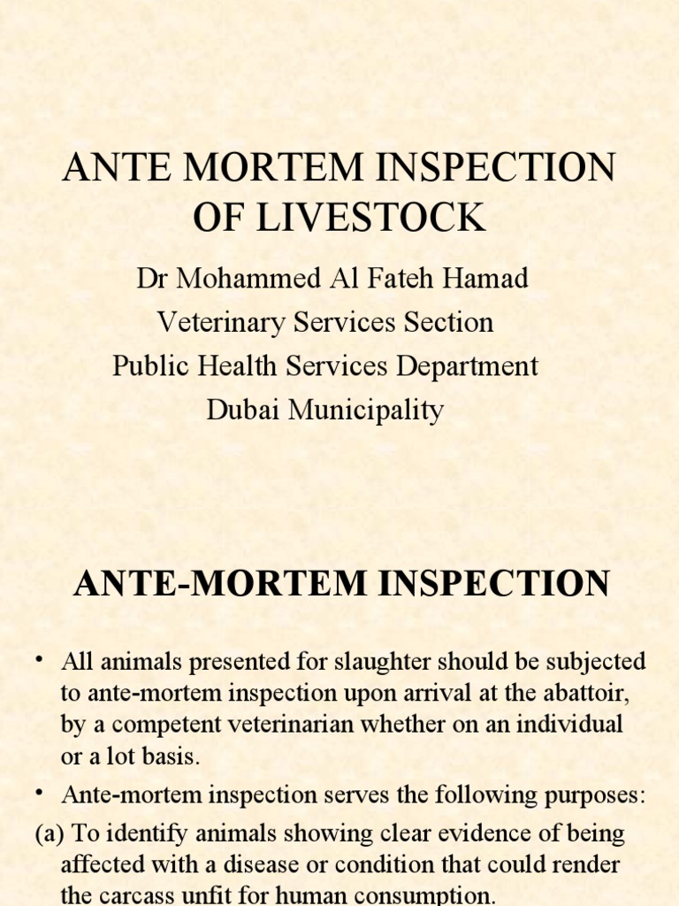 Ante-Mortem Inspection of Livestock | PDF | Animal Slaughter | Physical ...