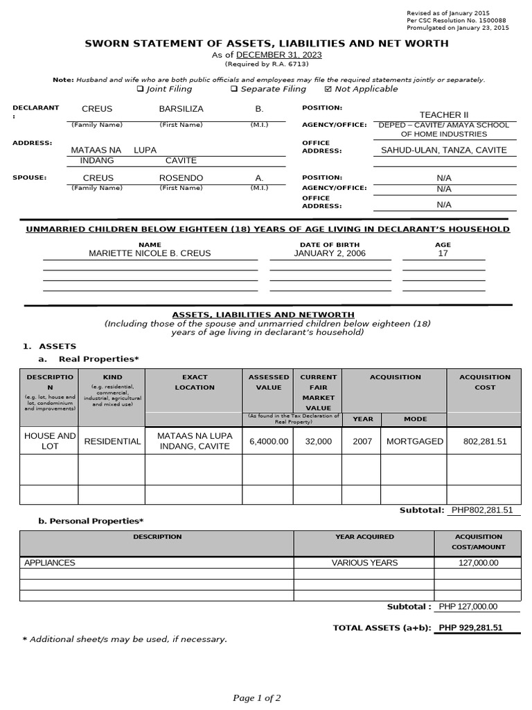 2015 Saln Form Template | PDF | Affidavit | Business Economics