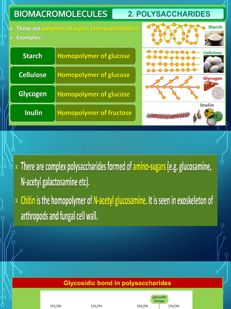 biomolecules remain nts (1) | PDF