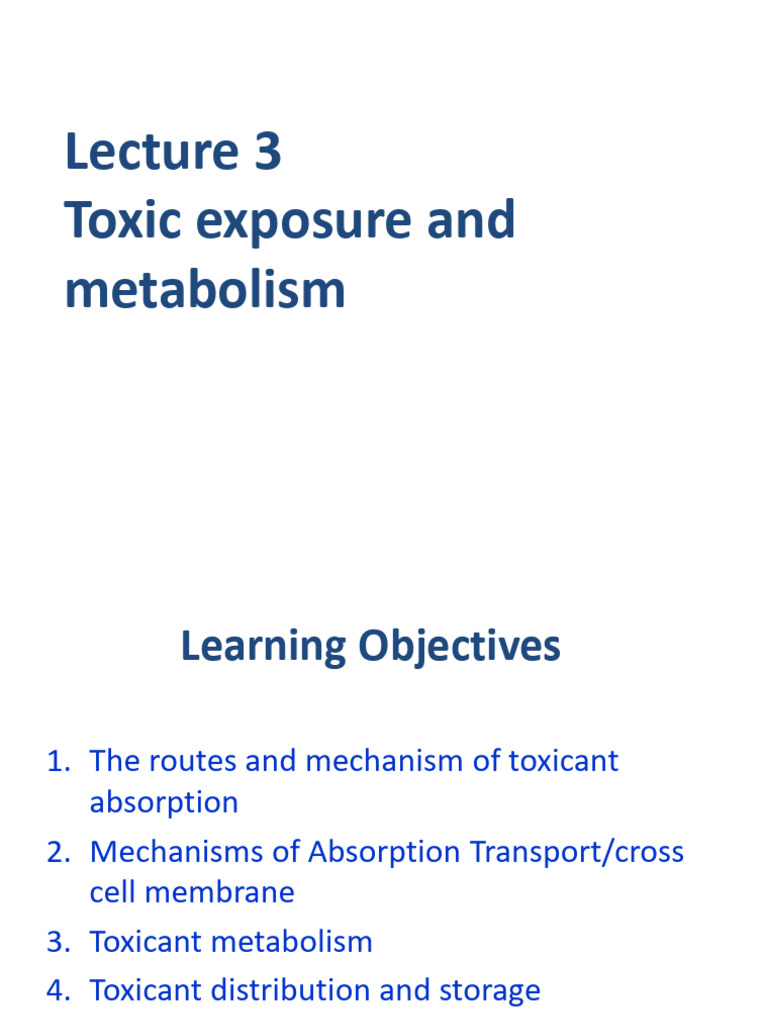 Lecture 3_Toxicant Exposure and Absorption_Eng_2024 2 | PDF | Stomach ...