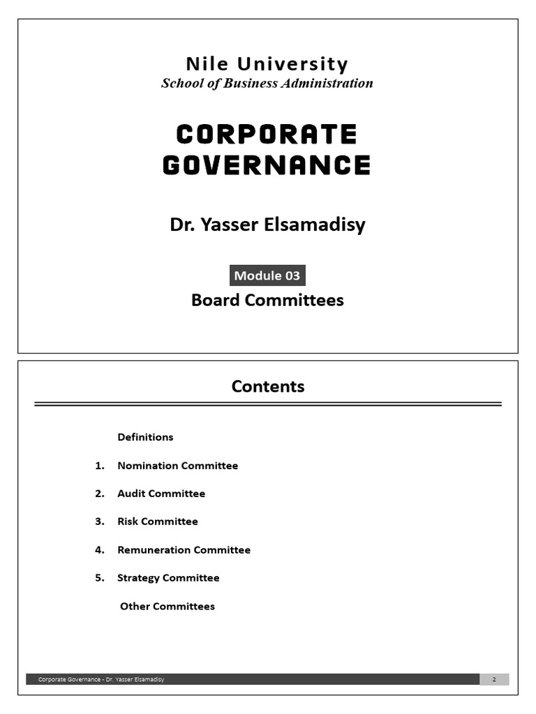 The Board Committees in corporate governance | PDF | Audit | Internal ...