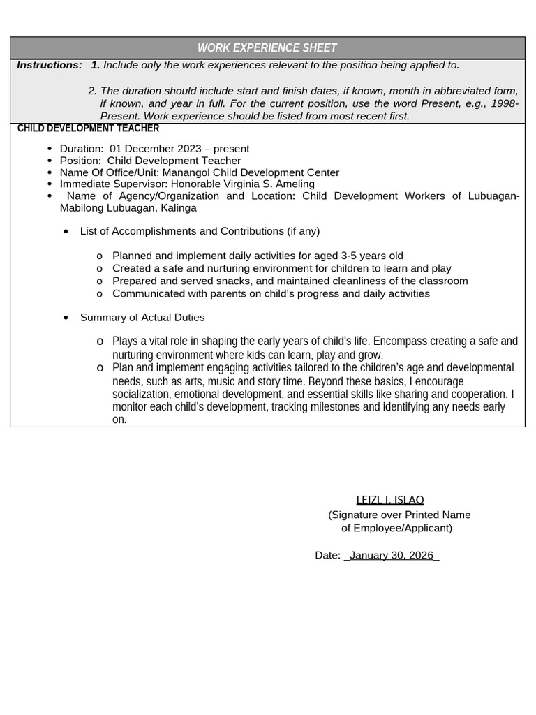 Work Experience Sheet | PDF