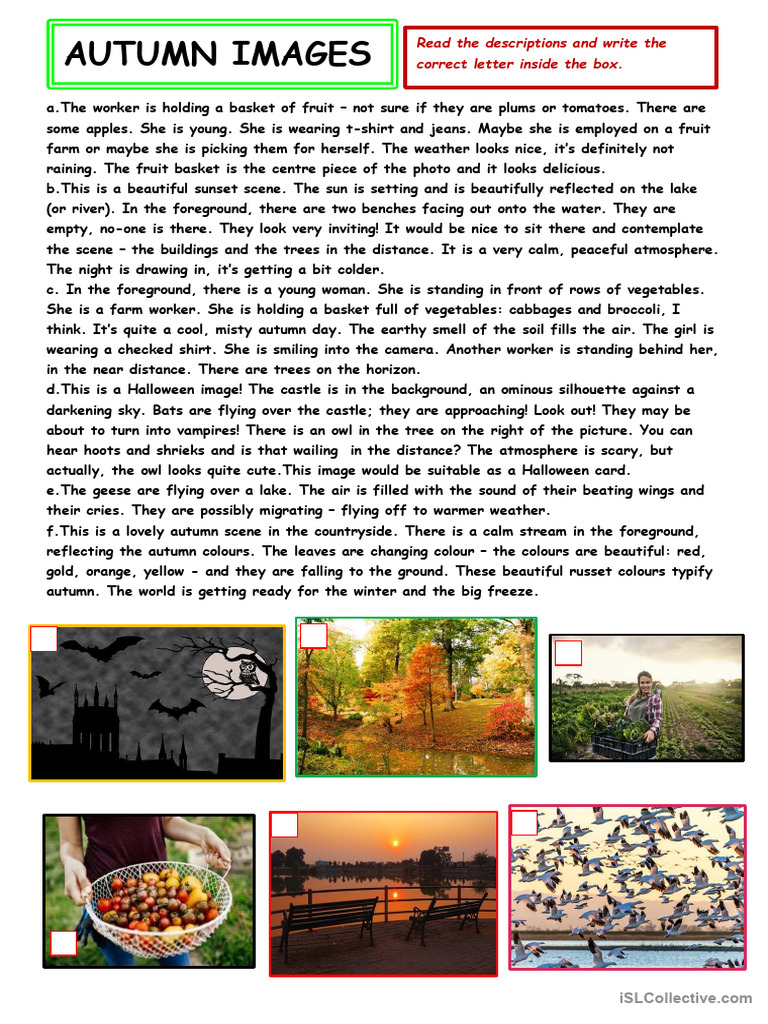 Describing Photos Autumn Images | PDF