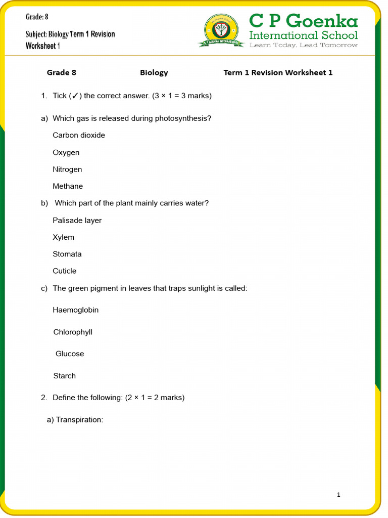 Grade 8 Biology Term Practice Sheet 1 Docx 2 (1) | PDF | Leaf ...