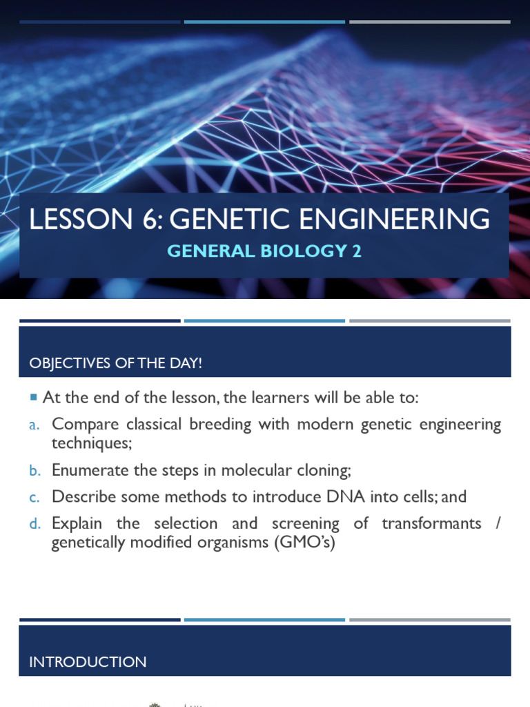 lesson6_191204032154 | PDF | Genetically Modified Organism ...