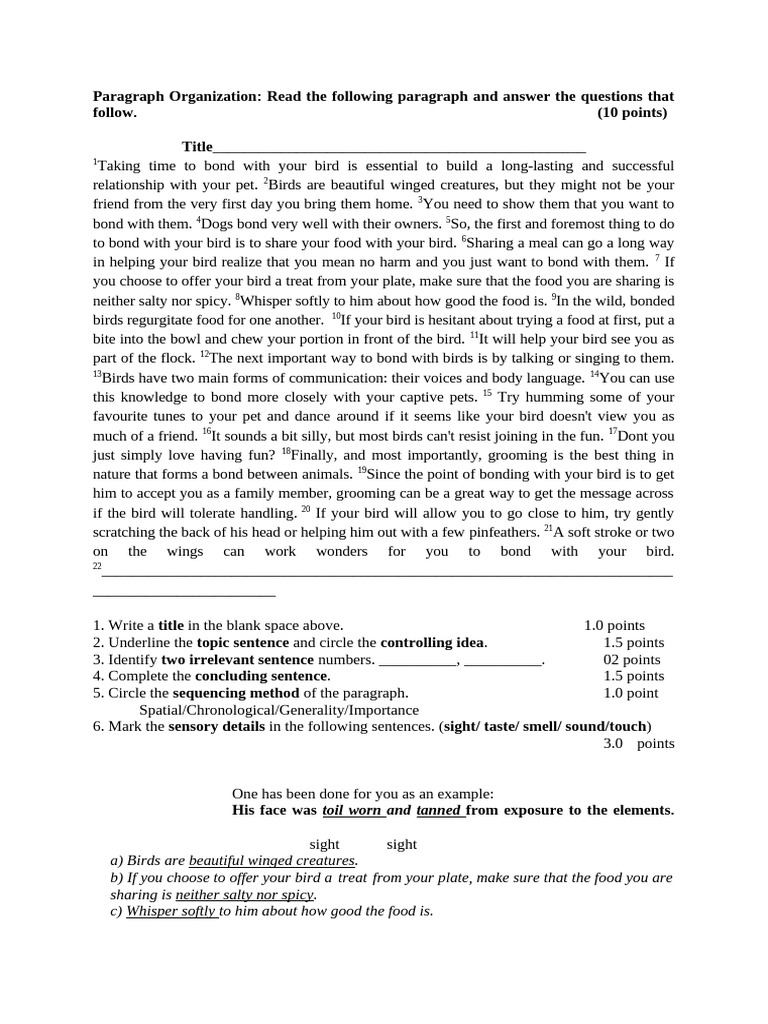 Sample Quiz 1 ( Paragraph Organization) | PDF