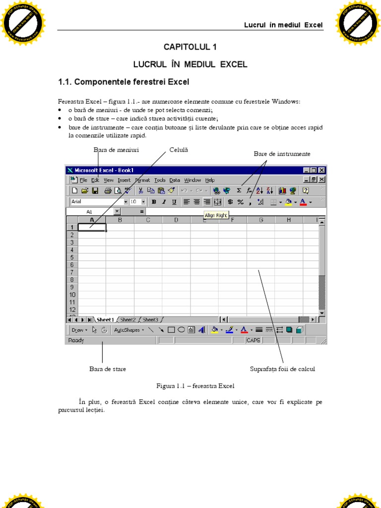 Curs EXCEL Cu Exemple | PDF