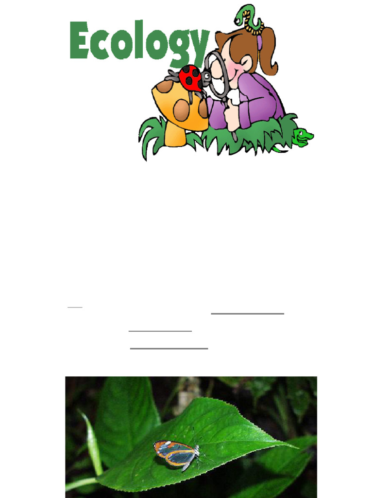 Ecology Intro | PDF | Ecosystem | Foods