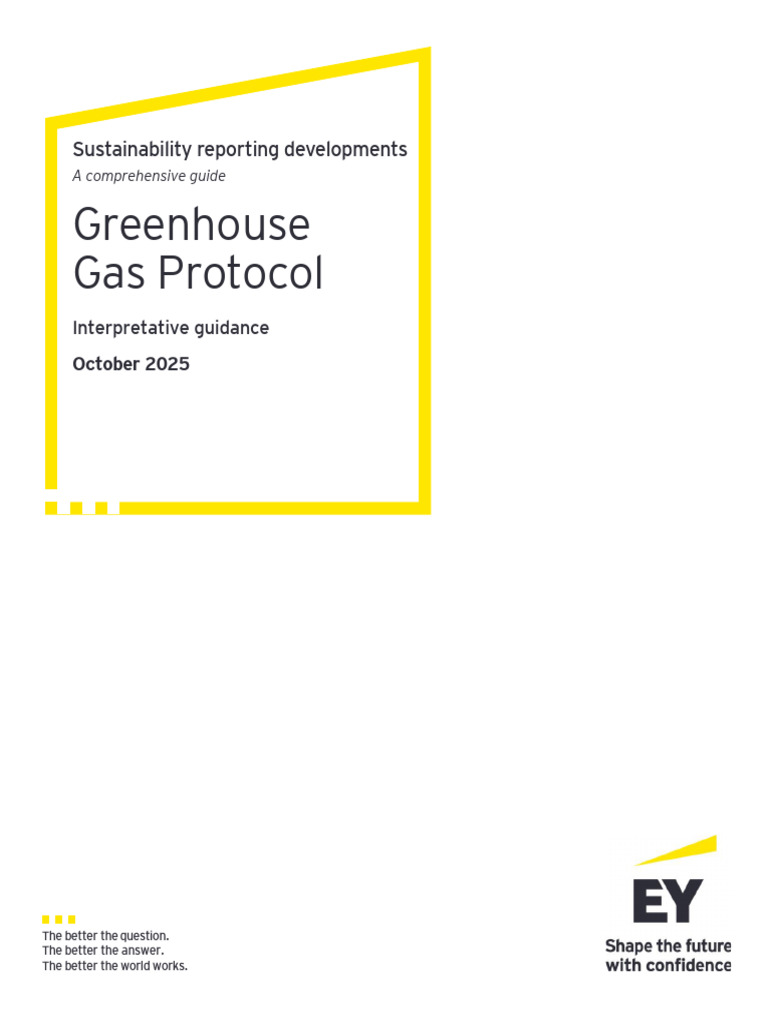 EY ESG Standard | PDF | Greenhouse Gas | Gases