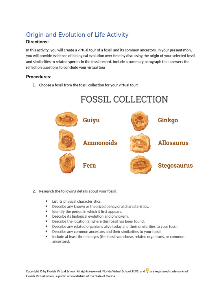 Origin Evolution Life Activity | PDF | Evolution | Fossil