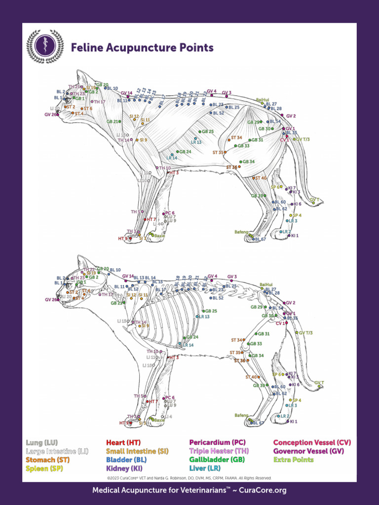 Feline Acupressure Chart | PDF