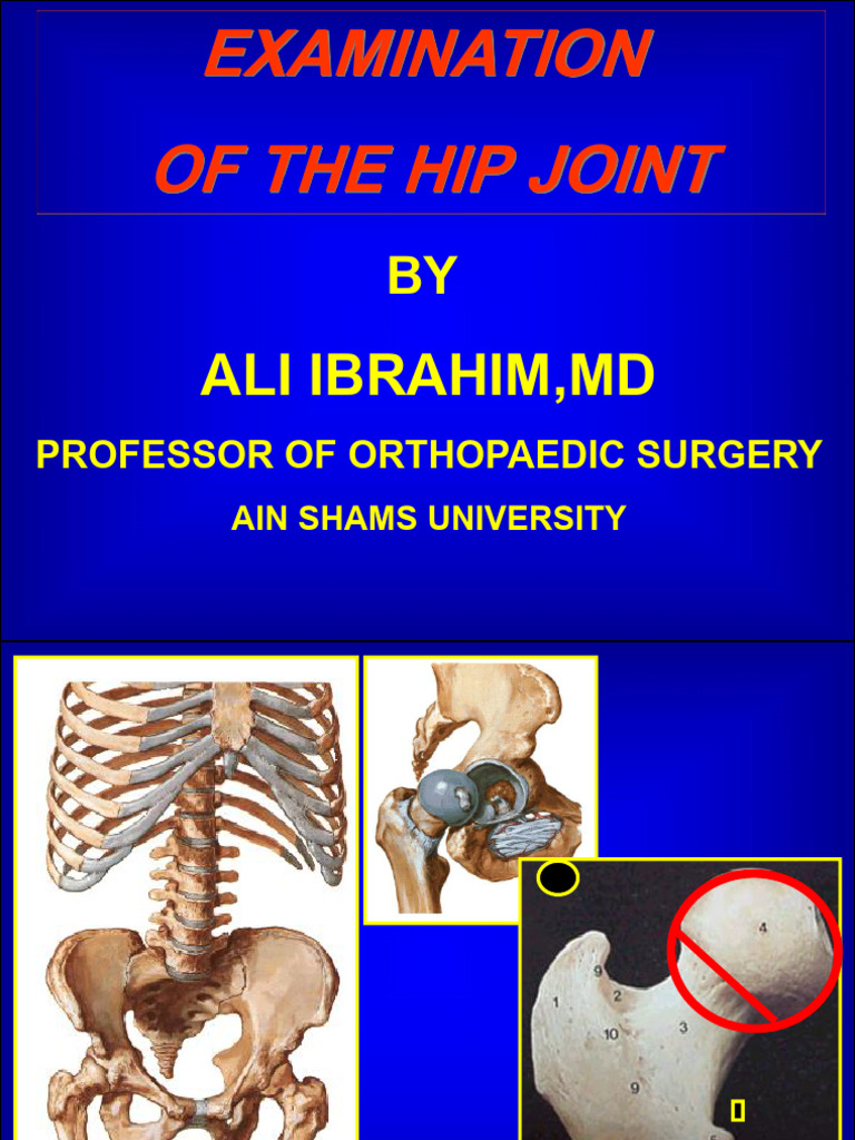 Orthopedic surgery hip exam for undergraduates | PDF | Hip | Anatomical ...