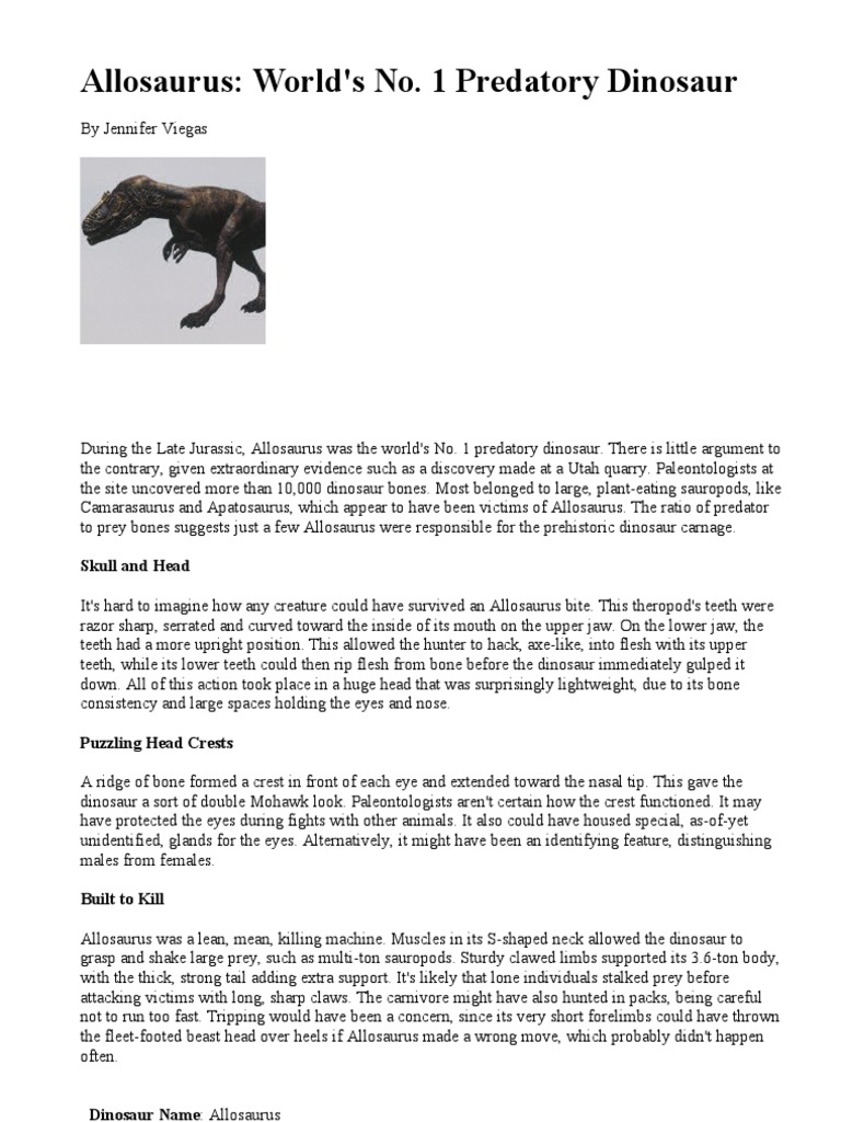  Types Of Dinosaurs PDF Dinosaurs Tyrannosaurus