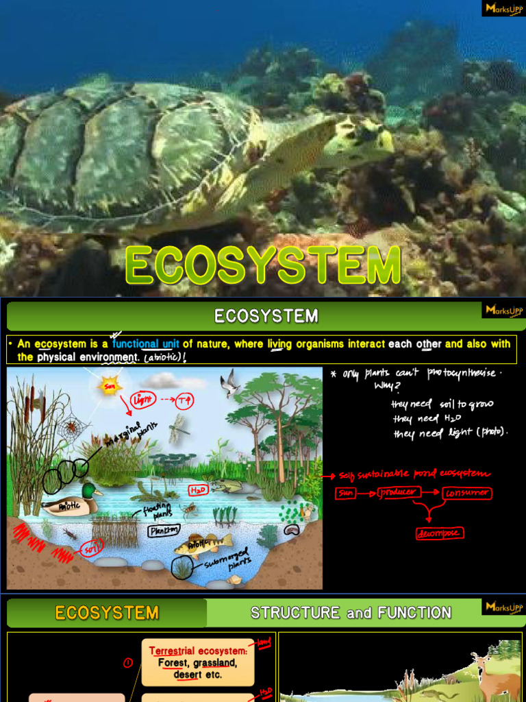 Ecosystem Handwritten Notes 12th Class | PDF
