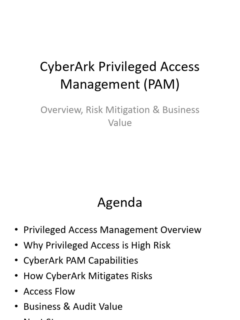 CyberArk PAM Overview and Risk Mitigation | PDF | Password | Security