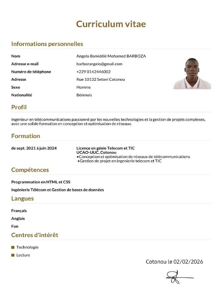 CV Angelo | PDF