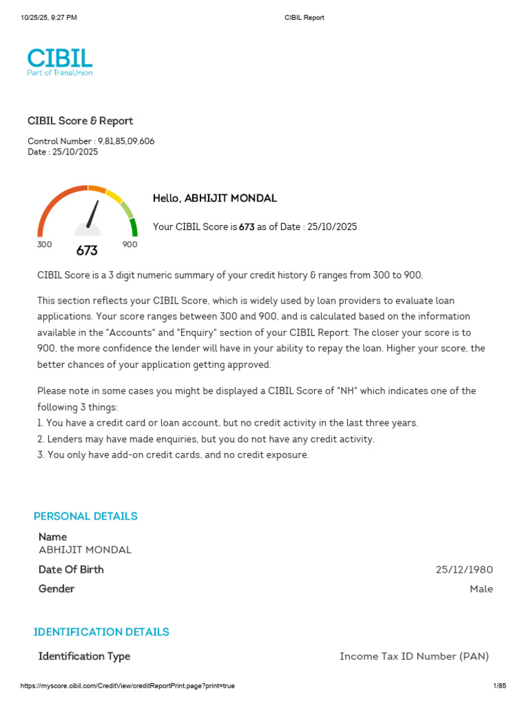 Cibil Report | PDF | Credit | Finance & Money Management
