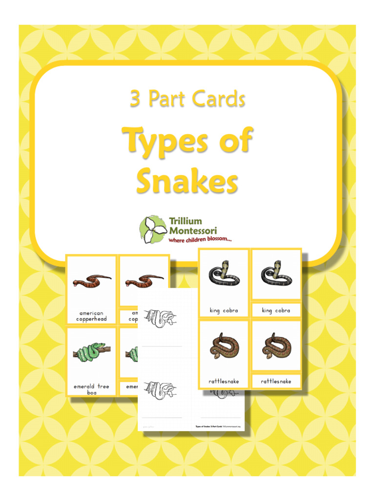 Snakes 3 Part Cards | PDF | Snake