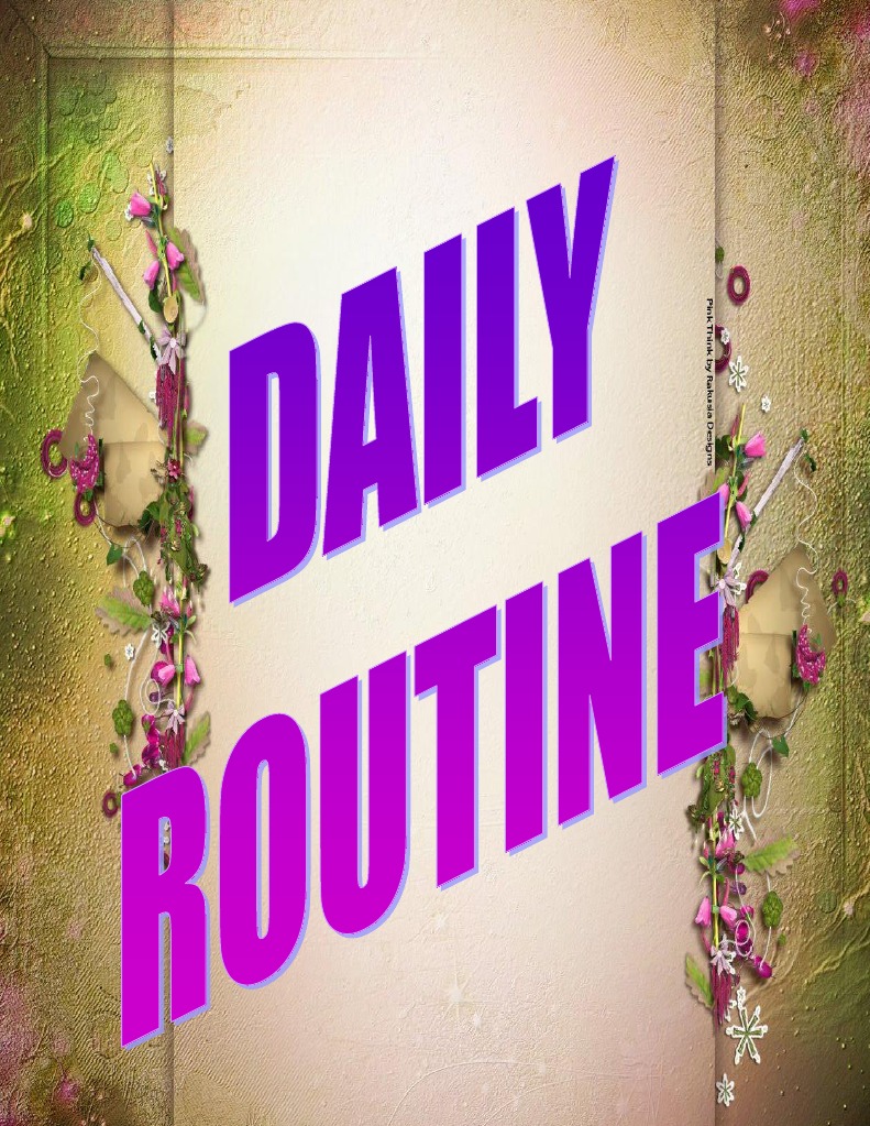 Daily Routine | PDF