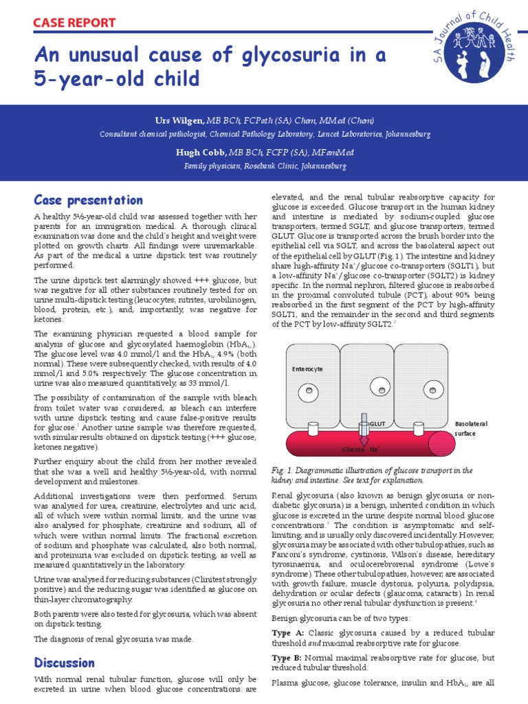Renal Glycosuria Case Study | PDF | Kidney | Diabetes Mellitus