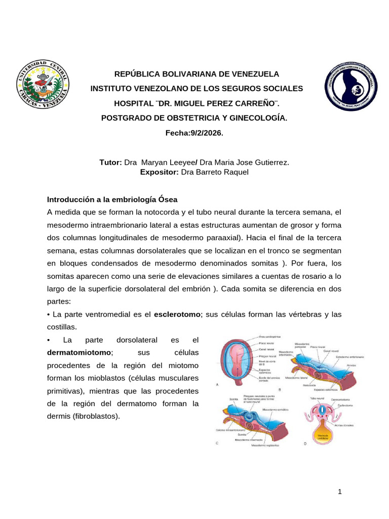 Resumen Sistema Óseo y Muscular.rb Edición 11 | PDF | Articulación ...
