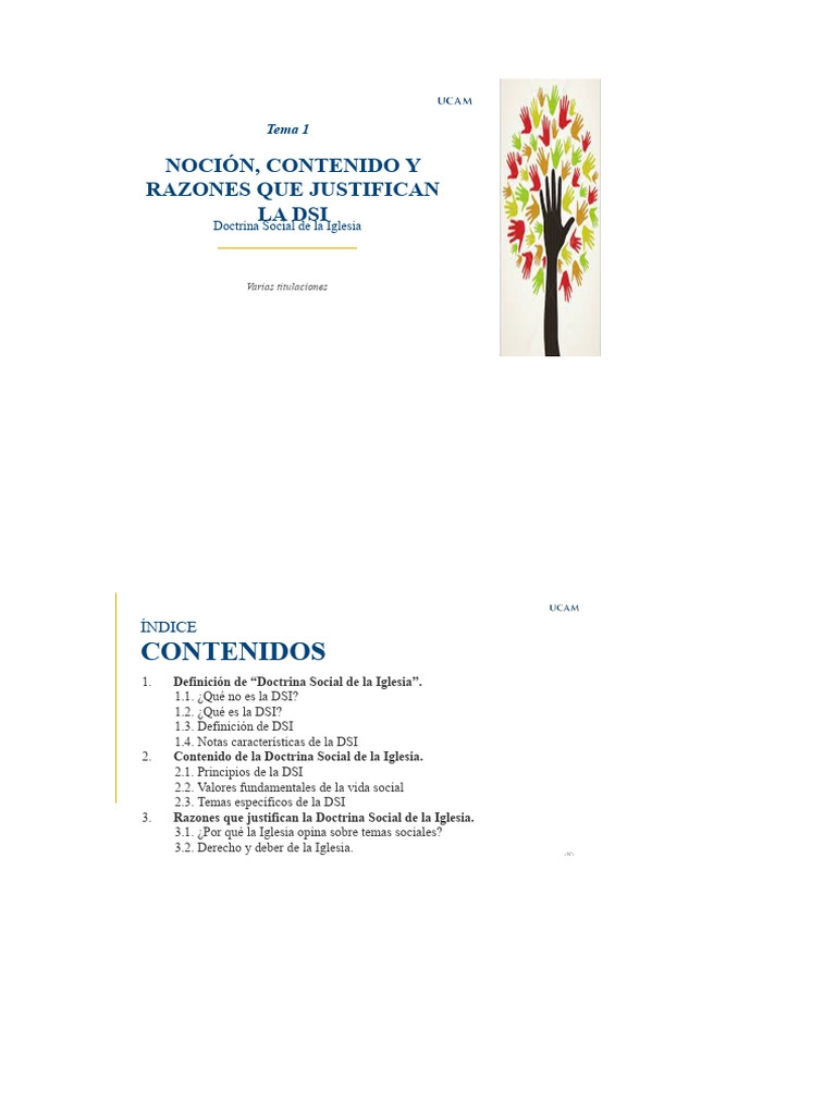 DSI Tema+1 Noci%C3%B3n%2C+Contenido+y+Razones+Que+Justifican+La+DSI ...