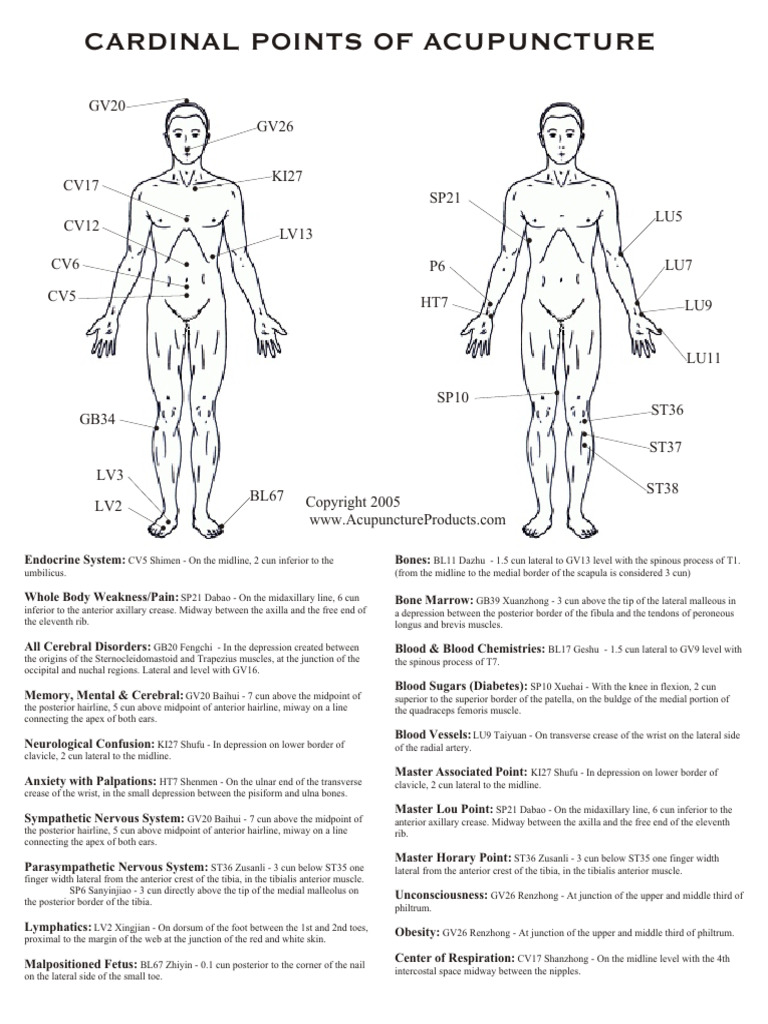 000 Cardinal Points | PDF | Anatomical Terms Of Location | Human Leg
