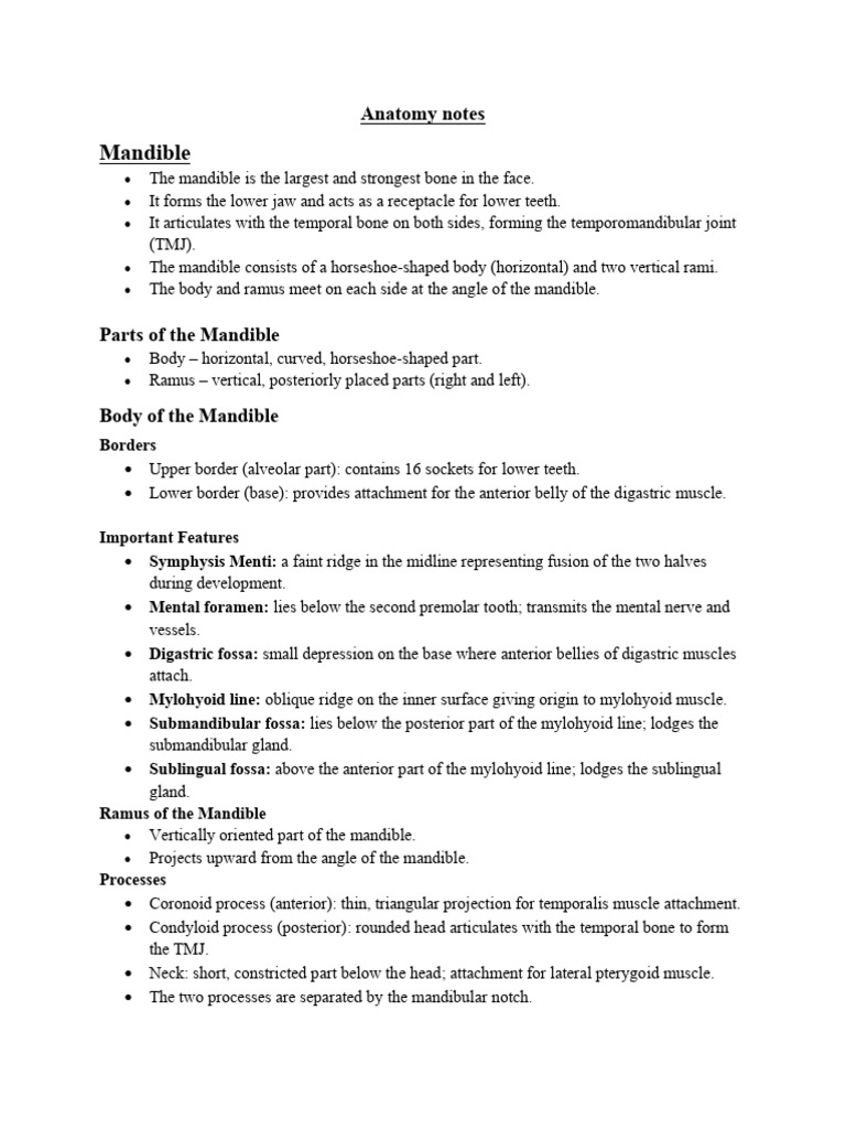 GI Anatomy Notes | PDF | Tongue | Abdomen