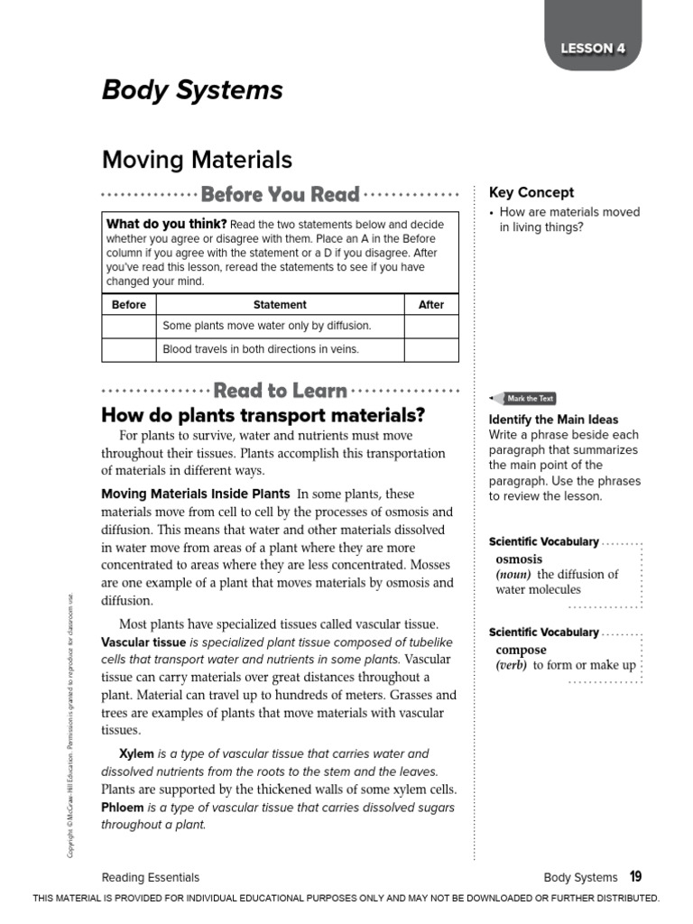 Lesson 4 Moving Materials | PDF | Heart | Respiratory Tract
