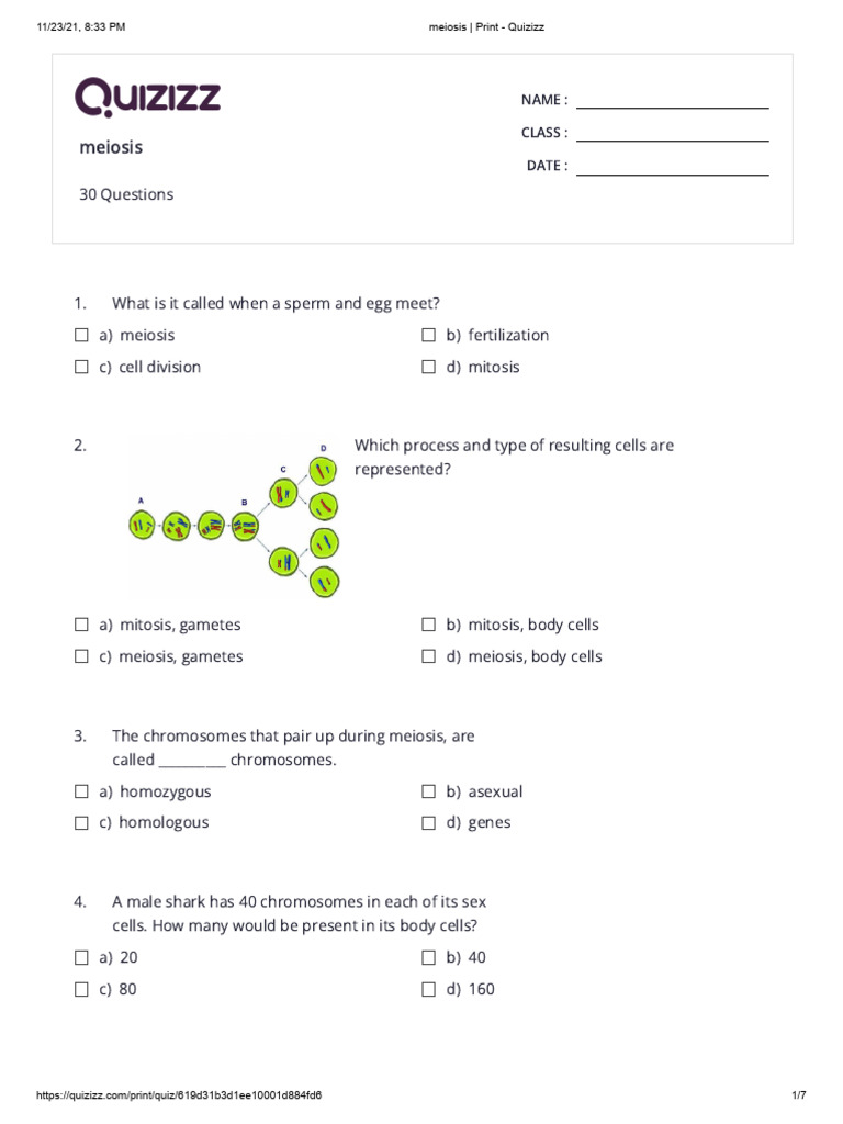 School American - Victory College Maadi Assessments @Assessments Type ...