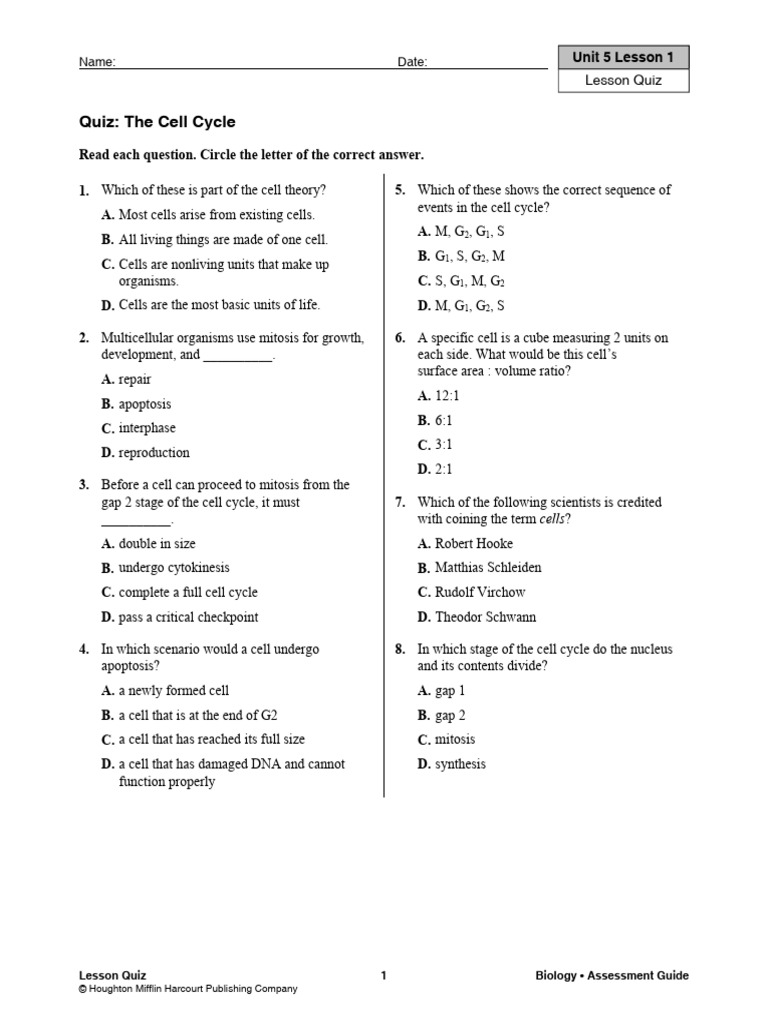 School American - Victory College Maadi Assessments @Assessments Type ...