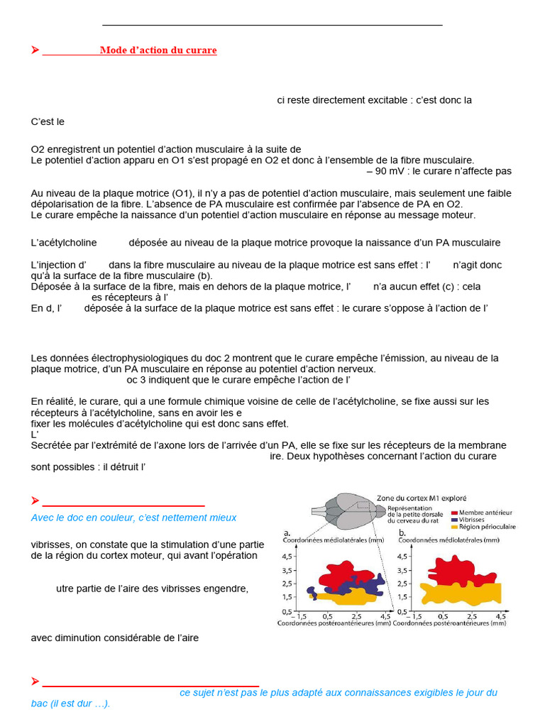 Exercices Corriges ANNABAC Bis El CORR-1 | PDF | Synapse | Acétylcholine