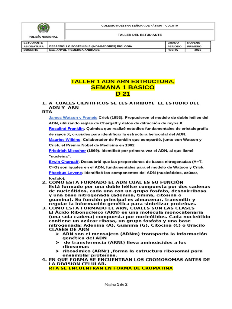 Taller 1 Adn Estructura Funcion Noveno | PDF | Adn | Rna