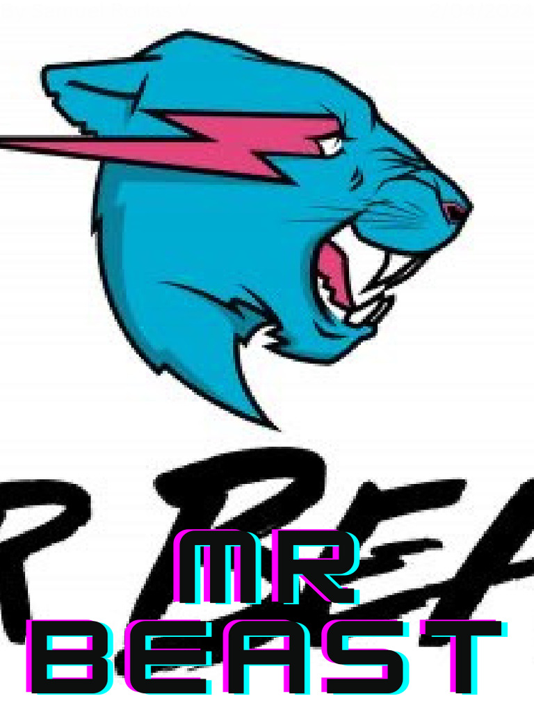 MR Beast | PDF