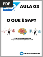 Configurando Layouts no SAP FBL1N | PDF