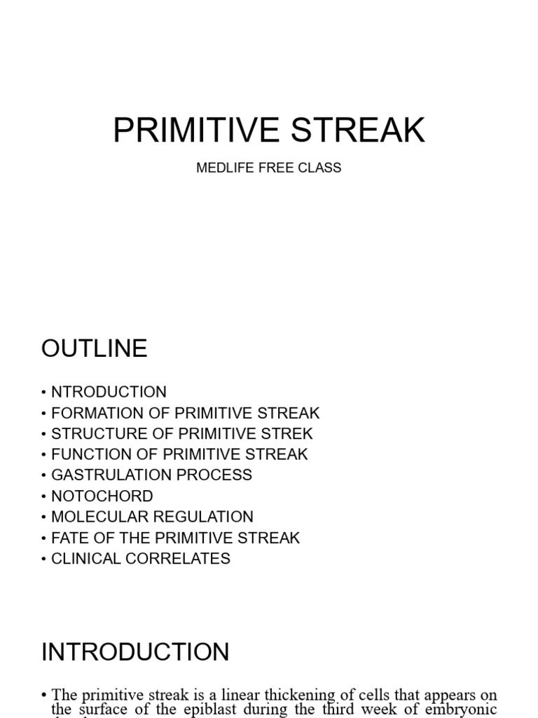 primitive streak-medlife | PDF | Developmental Biology | Reproduction